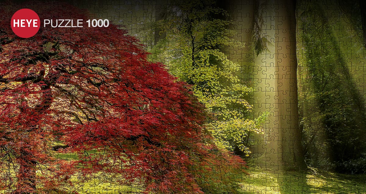 Luz guia, quebra-cabeça Heye 1000 peças